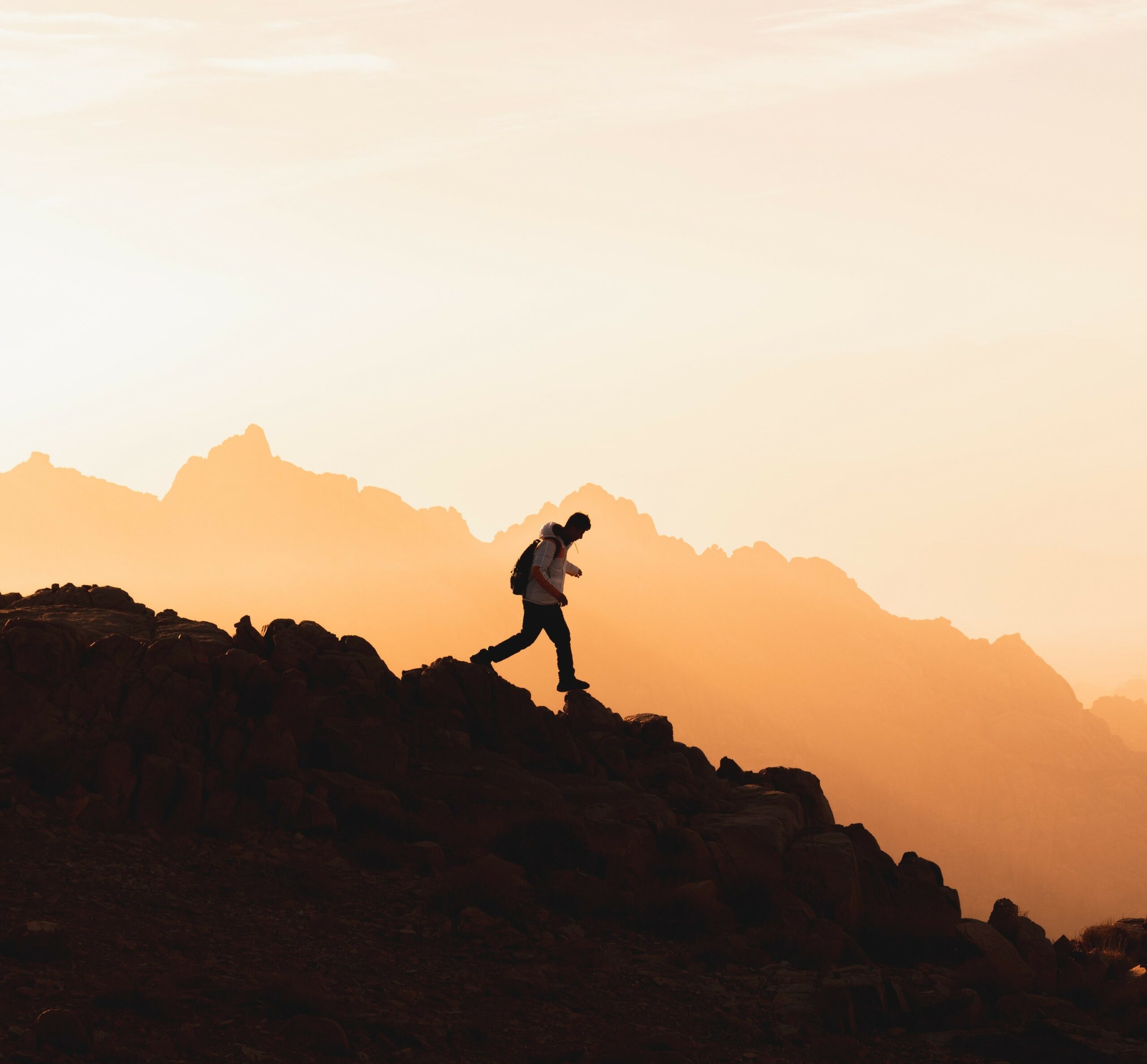 Ons Team - Cardano - NL